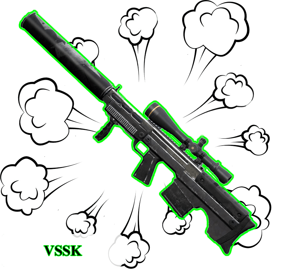 Stalker Raccoon City Pve