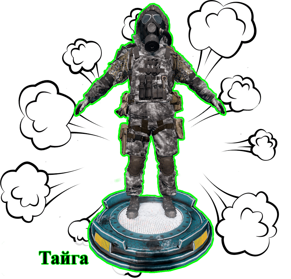 Stalker Raccoon City Pve